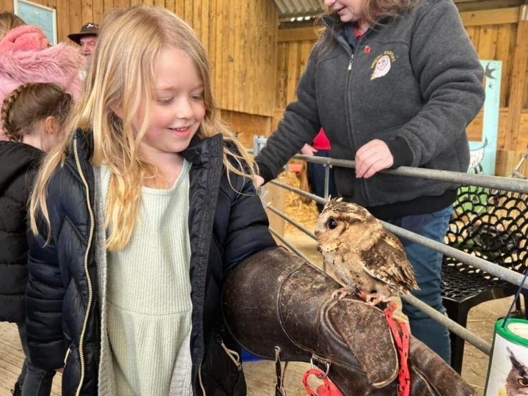 Whats On - Beetle Bank Open Farm